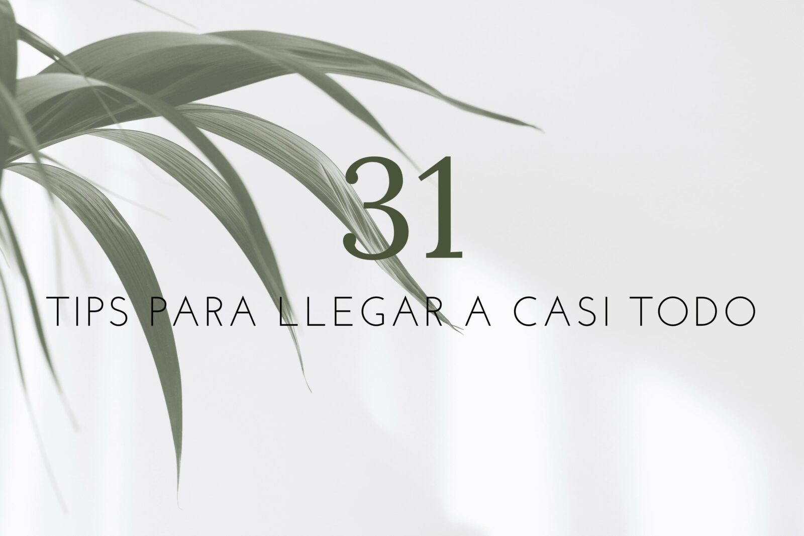 Taller Online: 31 Tips para llegar a «casi» todo. – Ordeno tu casa